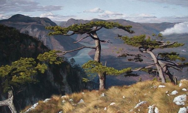 Slikar i hiper realista zen realnosti prirode - Veljko Djurdjević