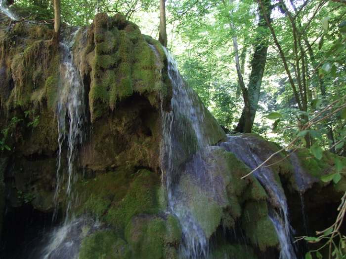 Foto safari i slike iz Nacionalnog parka Nera u Rumuniji