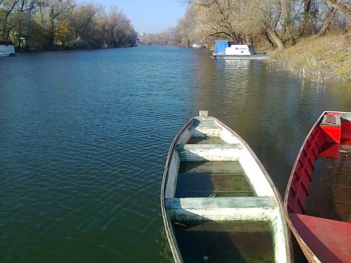 Stidljiva reka Sava - treking vikend šetnja pored reke Save