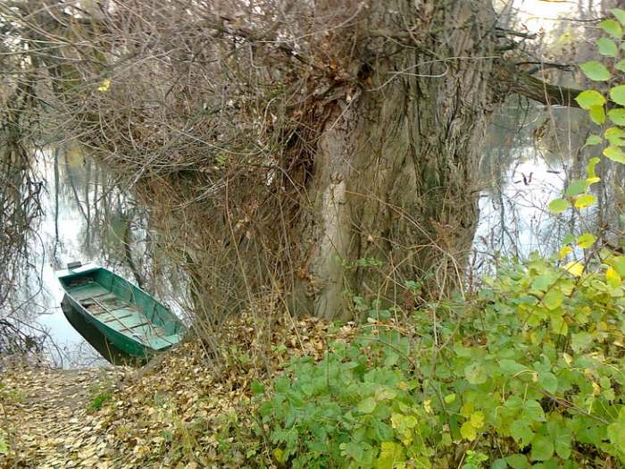Stidljiva reka Sava - treking vikend šetnja pored reke Save