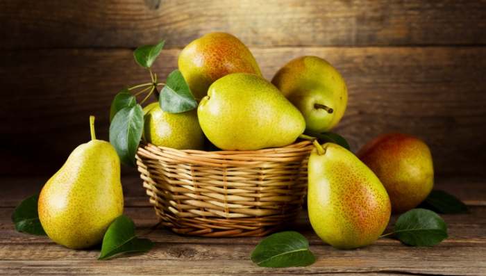 Kruška - stare i nove sorte kruške