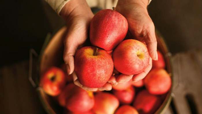 Stare domaće sorte jabuka koje se ne prskaju