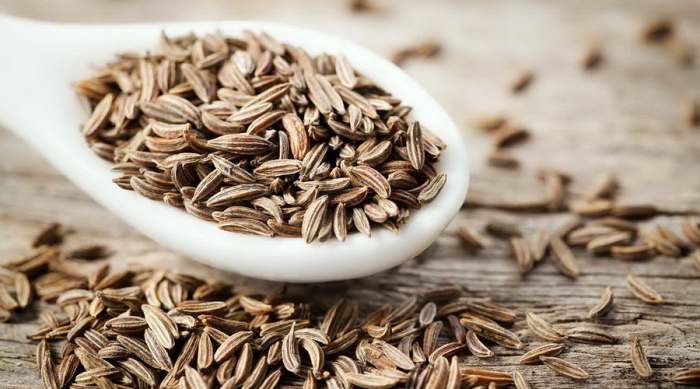 Kumin (Cuminum cyminum) – indijski začin za mršavljenje