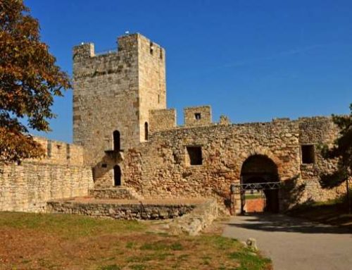 Grb Srbije - šta znači dvoglavi beli orao i kako je nastao novi srpski grb